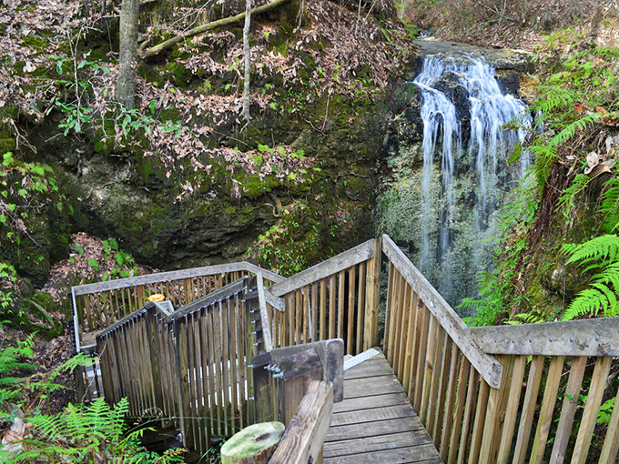 Who needs theme park water rides? Torreya's natural waterfall cascades down limestone bluffs, creating a serene soundtrack for hikers on the trail.