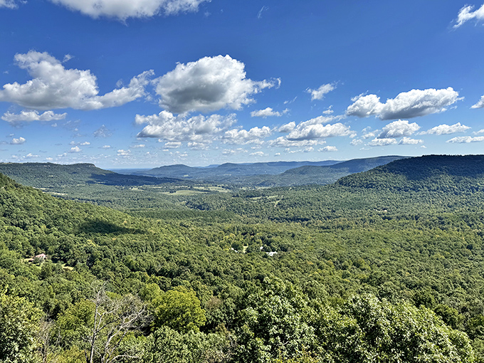 The Arkansas Grand Canyon unfolds below like nature's IMAX theater&mdash;a view so spectacular it almost upstages the food. Almost.