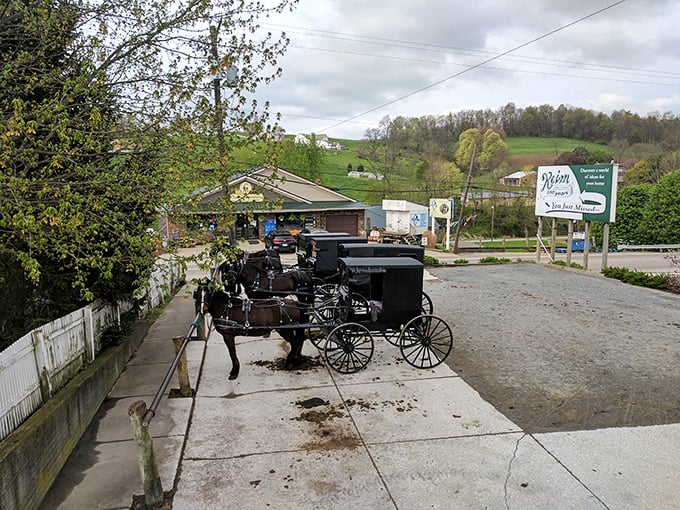 The quintessential Amish Country scene: horses patiently waiting while their owners shop. Some transportation methods never need an upgrade.