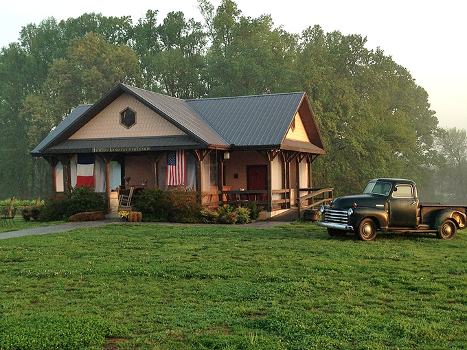 This rustic vineyard setting, complete with vintage truck, captures North Carolina's perfect blend of agricultural heritage and modern craft beverages.