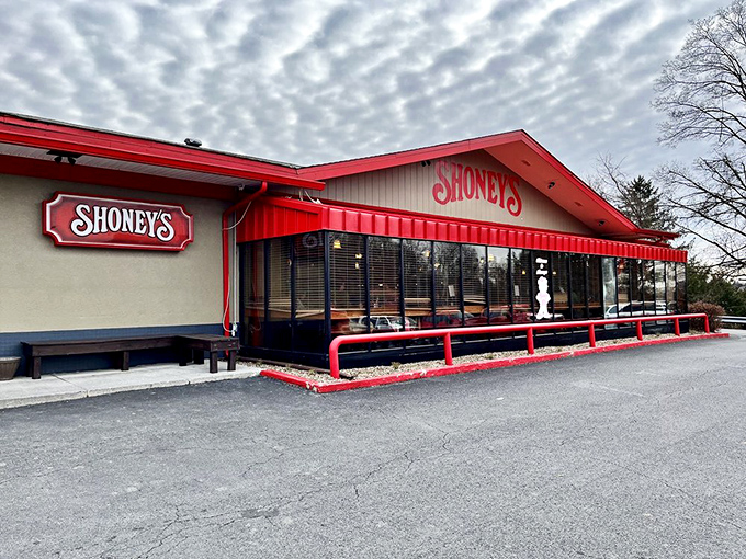 Every small town needs its reliable diner &ndash; where breakfast is served all day and the coffee refills come with local gossip.