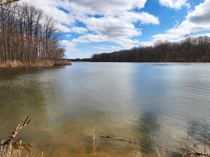 Mother Nature's mirror. The pond reflects the sky so perfectly you might forget which way is up&mdash;Delaware's own infinity pool.