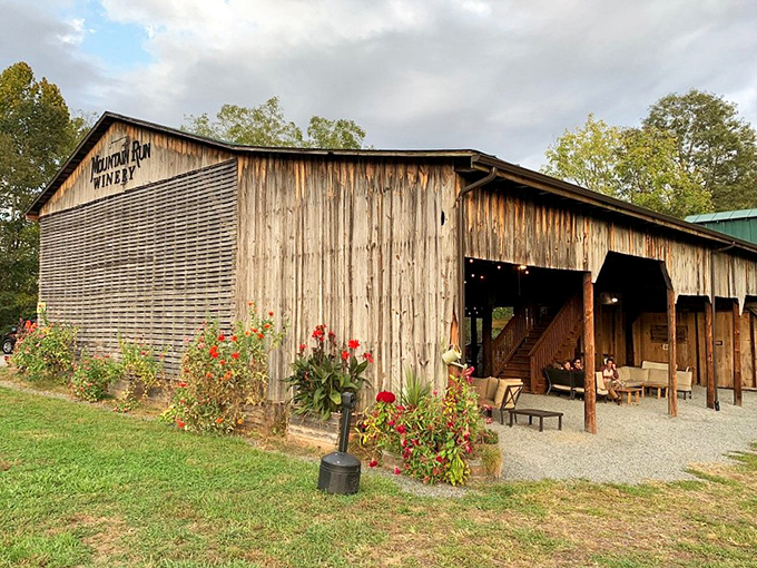 Mountain Run Winery's rustic barn setting proves great wine doesn't need pretension. The wooden structure and vibrant flowers create the perfect backdrop for sipping Virginia's finest.