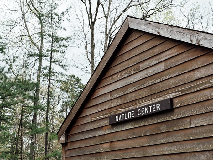 The Nature Center&mdash;where questions like "What kind of bug is THAT?" finally get professional answers. Nature's classroom without the homework.