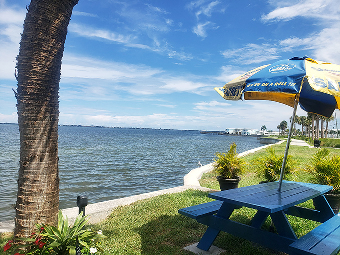 Office view goals: Where palm trees frame endless blue water and every picnic table comes with a side of Florida perfection.