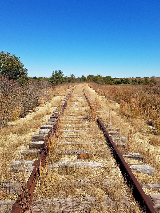 Abandoned railroad tracks cut through the landscape, a reminder that even the most industrial paths eventually return to nature.