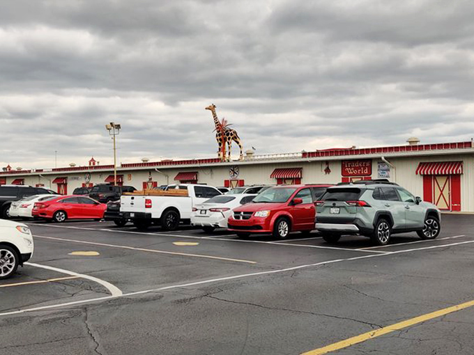 Even from the parking lot, those distinctive giraffes signal you've arrived somewhere special. Traders World's exterior promises adventures within.