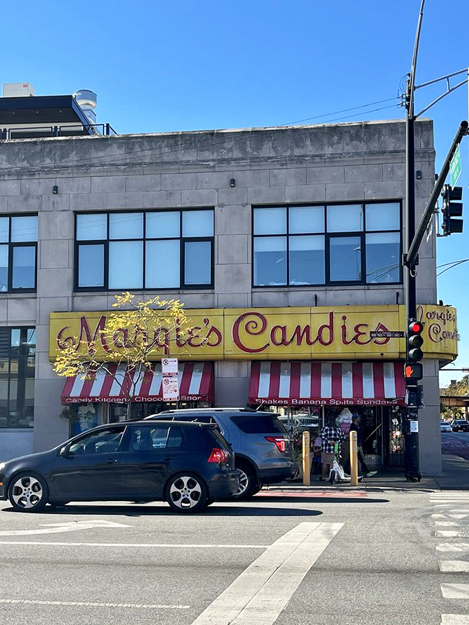 Morning sunshine illuminates that famous corner storefront - a beacon of sweetness that's drawn Chicagoans for generations.