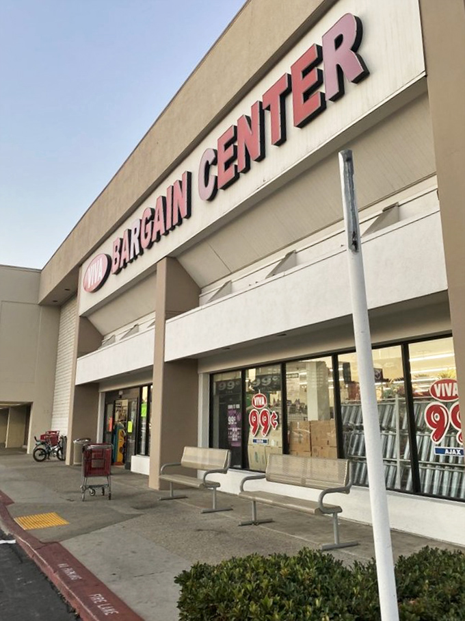 The storefront beckons with promises of 99-cent treasures. Like a siren song for the bargain-obsessed, those red numbers lure shoppers from across the parking lot.