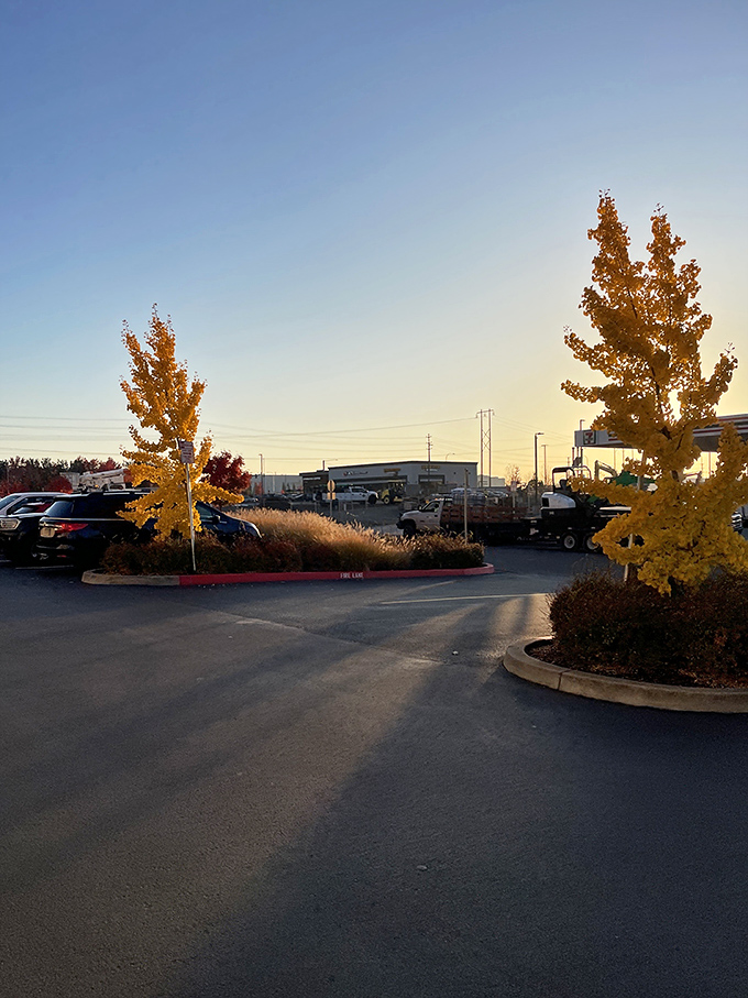 Even the parking lot exudes racing energy. Those fall colors are nature's checkered flag welcoming you to your high-octane adventure. 