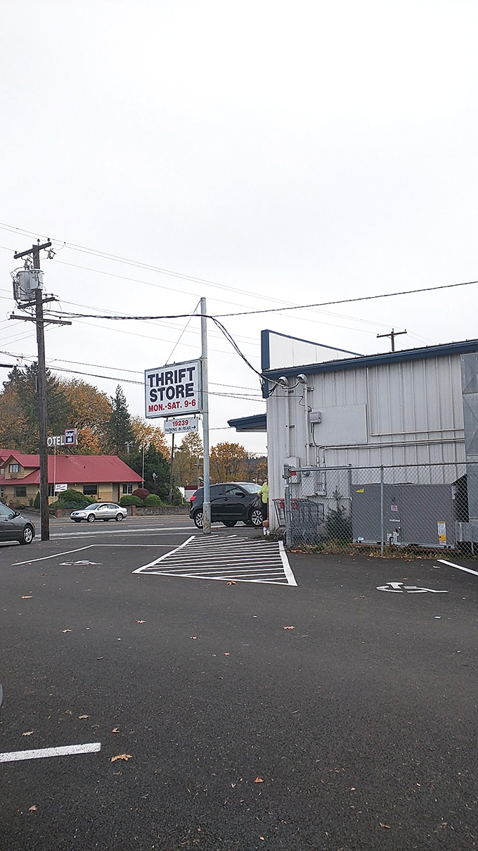 The sign beckons from the roadside, promising treasures within. Many have entered thinking "just a quick look" only to emerge hours later.