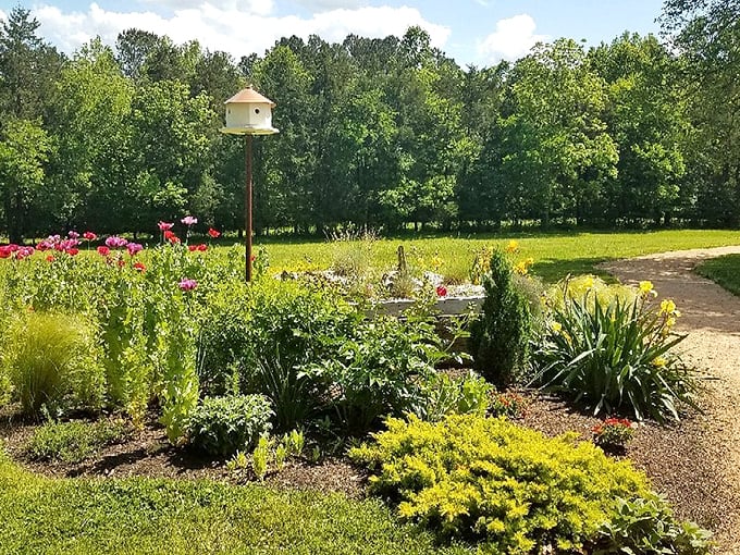 Gardens like this don't just happen—they're love affairs between dedicated caretakers and the fertile North Carolina soil they tend.