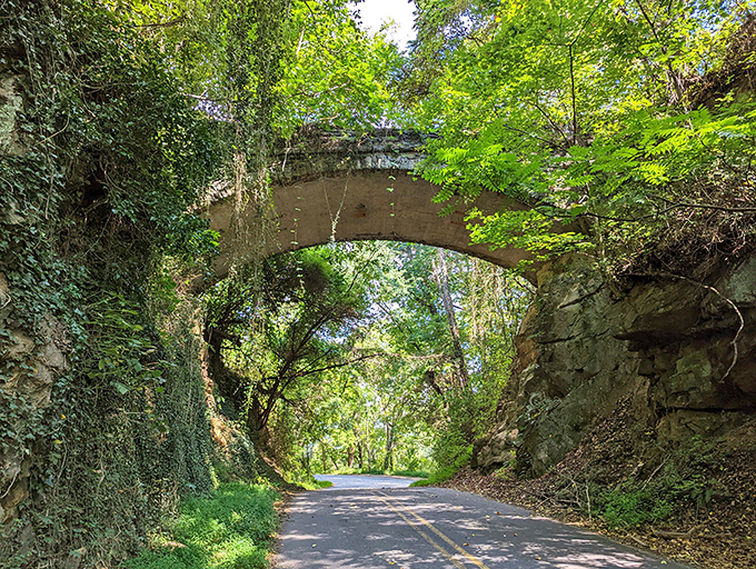 Summer greenery frames the perfect arch, creating a tunnel effect that draws you in. The invitation to cross is both beautiful and slightly unnerving.