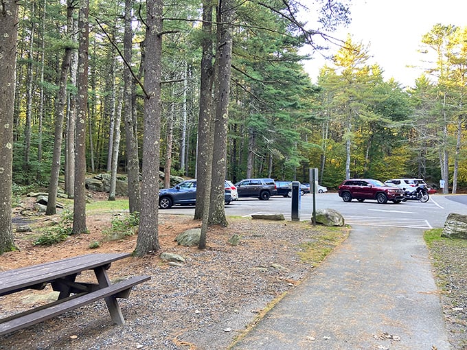 Park your car and stroll toward the lush forest, where a cozy picnic table awaits for your next outdoor lunch.