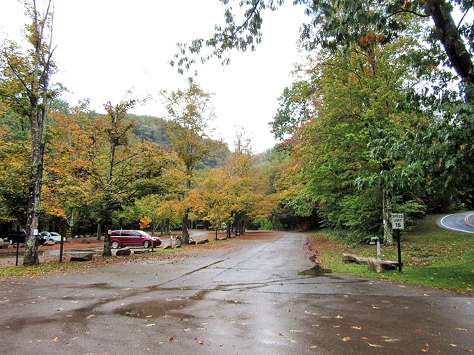 A forest path that whispers promises of discovery. Every bend in the trail at Worlds End offers another reason to put away your phone and pay attention. 