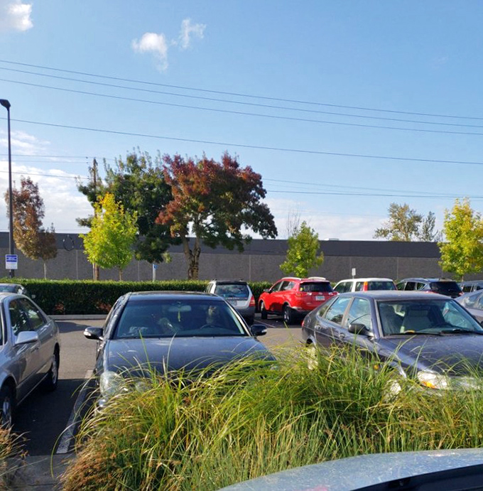 The parking lot fills early on weekends&mdash;a testament to the magnetic pull of Portland's ultimate secondhand superstore. 