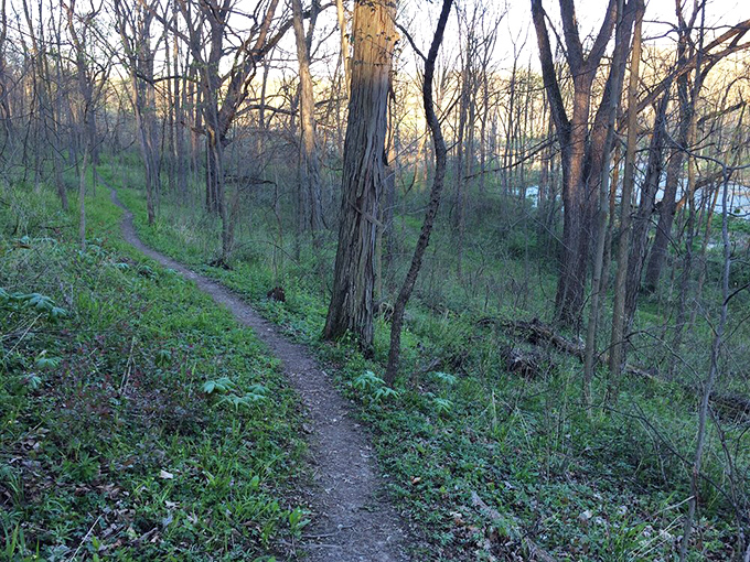 Not all who wander these spring trails are lost, but the best moments happen when you pretend to be. The path less traveled has fewer selfie sticks.