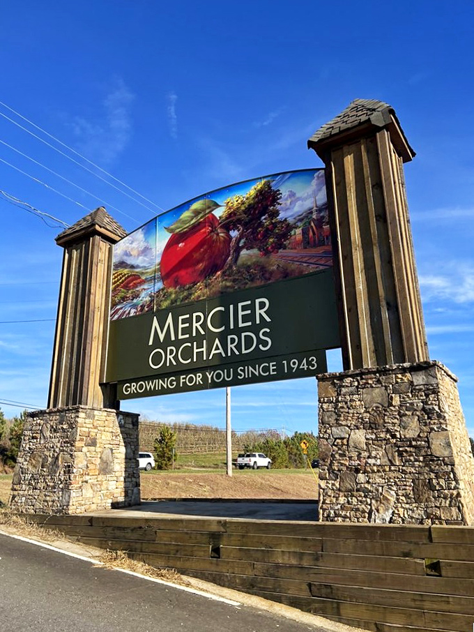 The gateway to apple heaven. Mercier's impressive stone entrance sign stands like the pearly gates to a world where fruit becomes art.