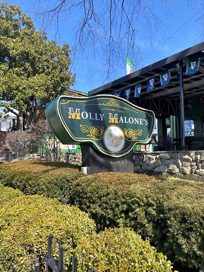 The sign says Molly Malone's, but it might as well say "Welcome Home"&mdash;a beacon of Irish hospitality in Louisville's vibrant landscape.