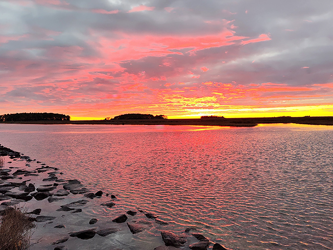 Mother Nature showing off at sunset, painting the sky in colors that would make a flamingo jealous.