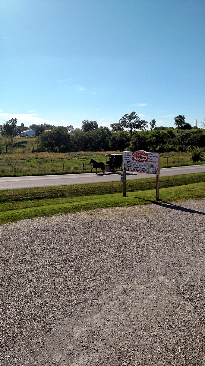 As an Amish buggy passes by, two worlds momentarily converge. Some journeys are measured not in miles, but in the timeless pursuit of good food.