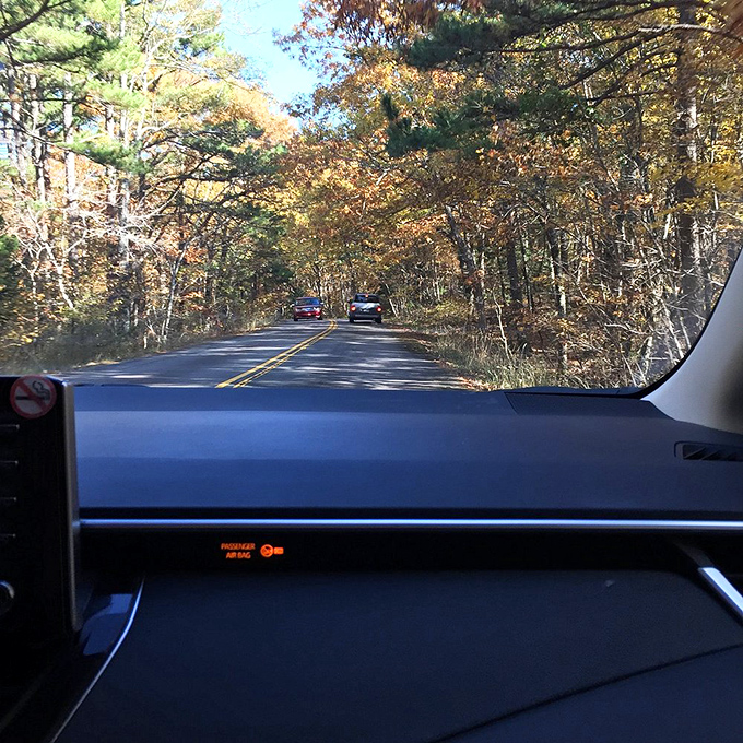 The dashboard view that beats any GPS screen. Driving through this autumn canopy feels like traveling through a living postcard.