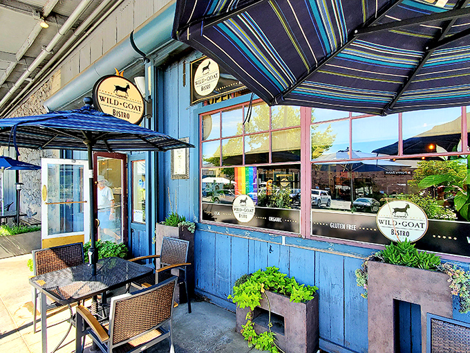 The Wild Goat Bistro's blue facade and sunny patio create the perfect backdrop for conversations that start with lunch and end with dinner.