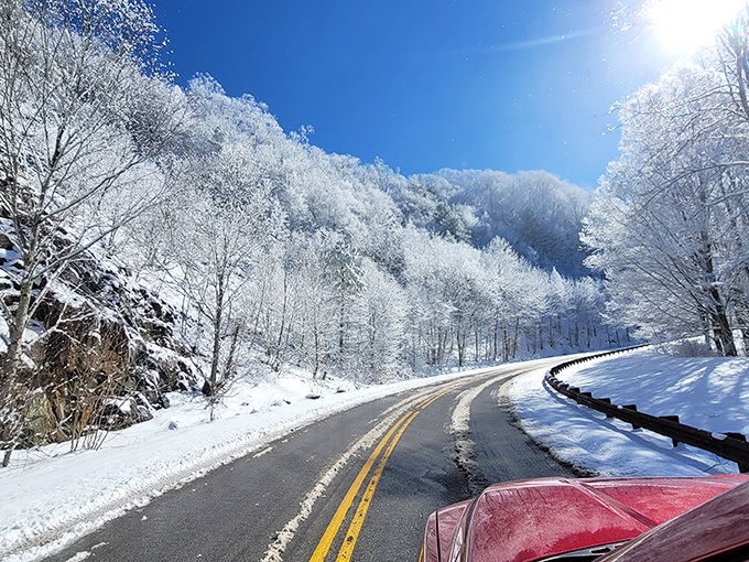 A winter wonderland that puts holiday greeting cards to shame. Snow-draped forest roads prove that Jack Frost might be the Appalachians' most talented decorator.