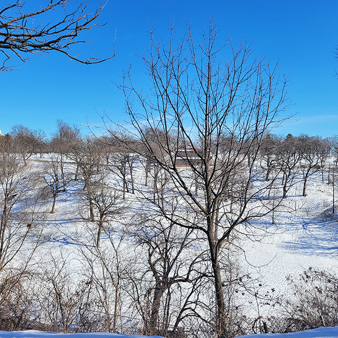 Minnehaha Park in its winter coat—where the crowds thin out but the beauty amplifies for those brave enough to bundle up.