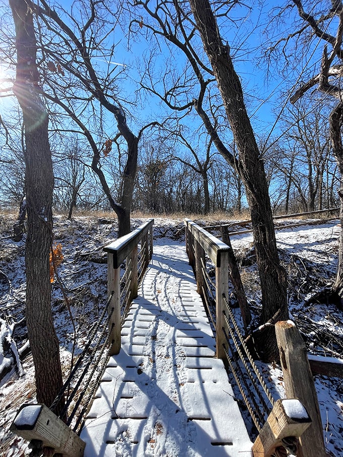 Winter transforms familiar paths into magical new territories. This snow-dusted bridge invites brave explorers to discover nature's quietest, most contemplative season.