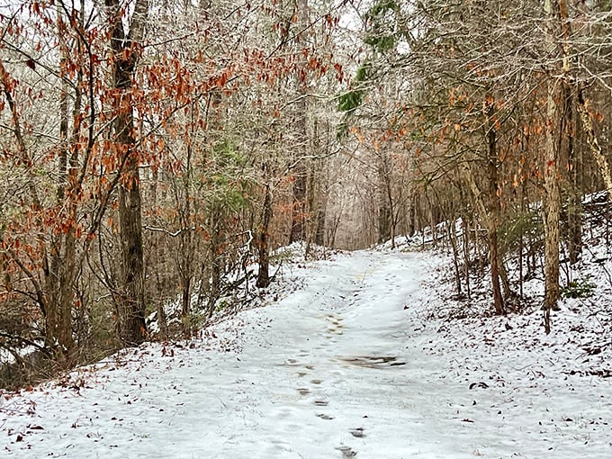 Winter transforms familiar trails into magical pathways. Snow in Georgia might be rare, but it's worth the wait.