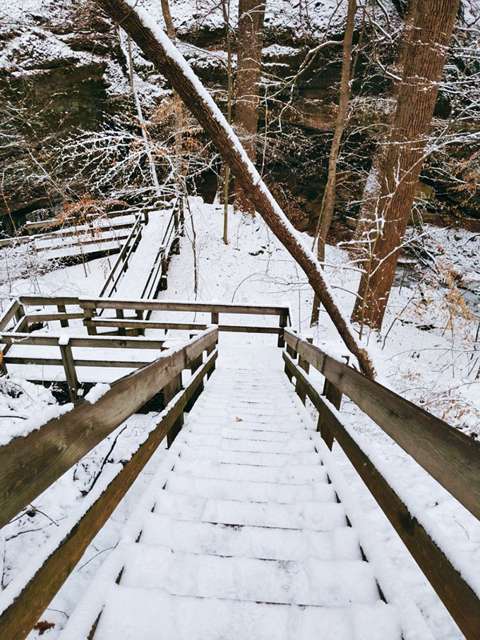 Winter transforms familiar wooden steps into a snow-covered fairytale. Jack Frost's renovation skills turn everyday trails into works of crystalline art.