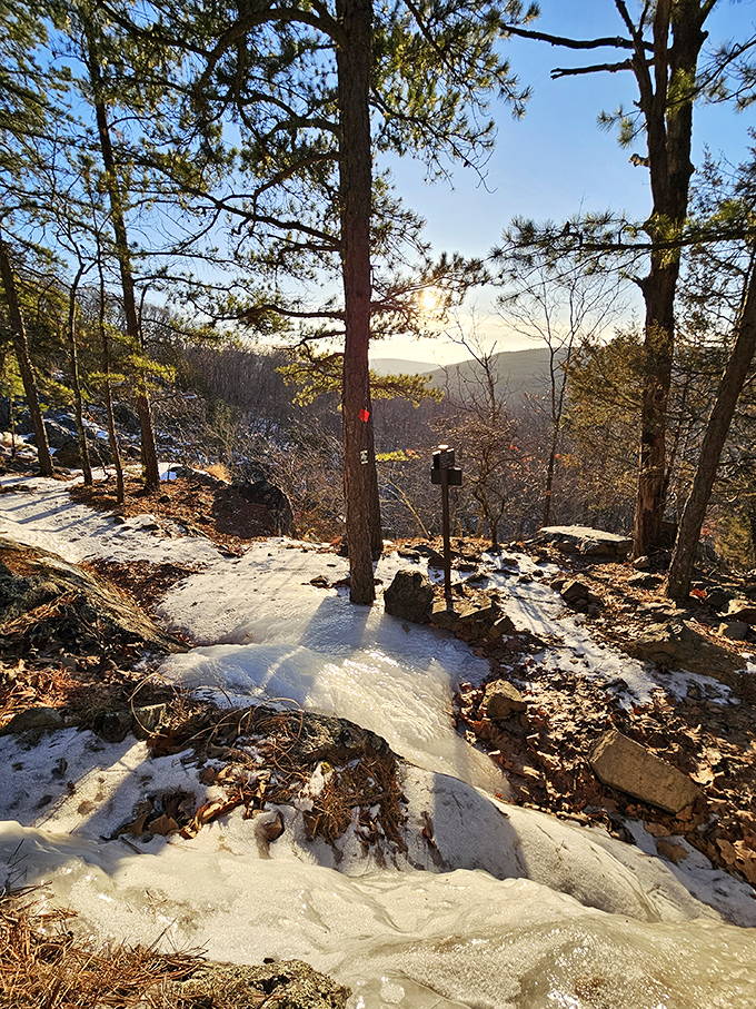 Winter creates a whole new trail experience when snow blankets the rocky path. The red blaze markers stand out like beacons against nature's pristine white canvas.