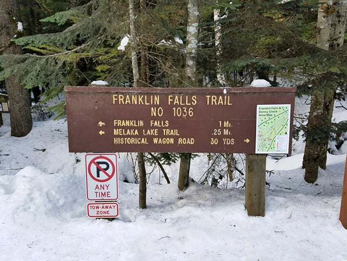 Winter transforms the trail into a snow globe scene that even the most dedicated couch enthusiasts might consider worth bundling up for.