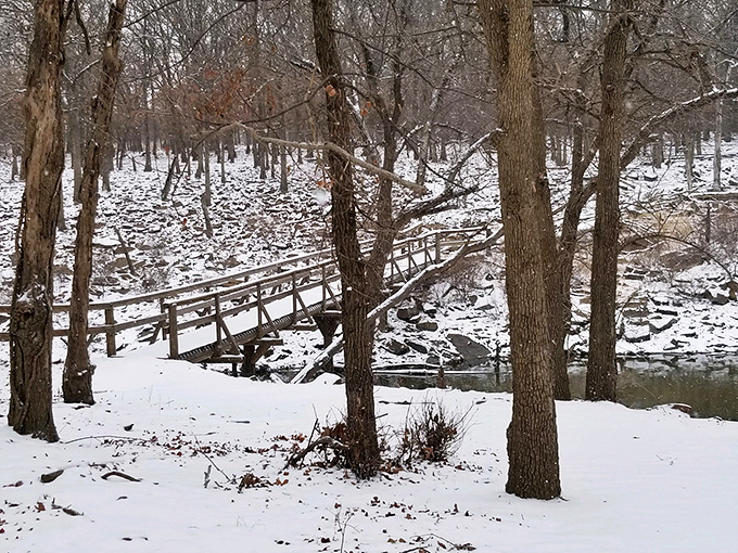 Winter transforms familiar trails into mysterious wonderlands. That wooden bridge isn't just crossing a stream—it's crossing into Narnia.
