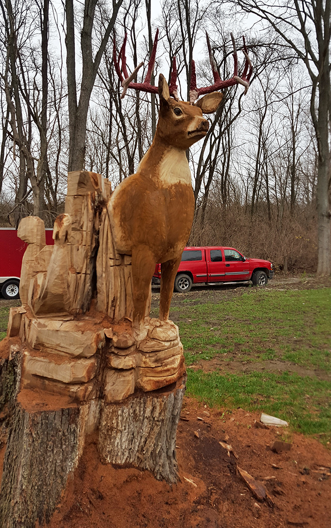 From tree stump to masterpiece. This wooden deer stands eternally vigilant, never complaining about the Ohio weather or mosquitoes.