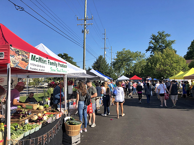 Zionsville Farmers Market buzzes with weekend energy as locals shop for produce while maintaining the sacred ritual of neighborhood gossip.