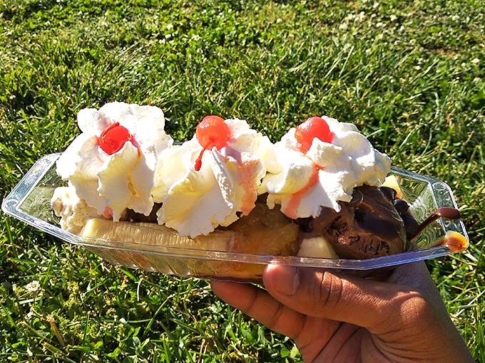 This banana split isn't just dessert, it's a celebration on a plate &ndash; three scoops of joy topped with clouds of whipped cream.
