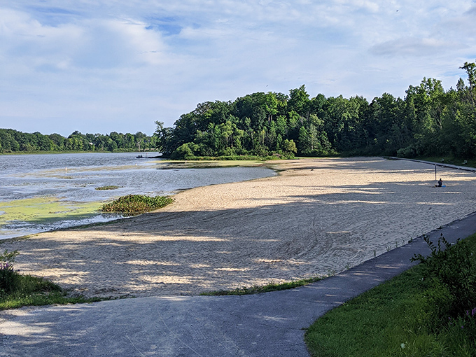 The elevated walkway through verdant forest feels like walking through the treetops &ndash; Ewok village vibes without the intergalactic conflict. 