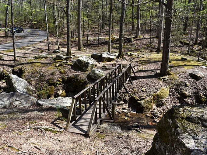 Autumn paints the swinging bridge in golden hues. This iconic Tishomingo crossing offers both literal and metaphorical passage into Mississippi's most unexpected natural wonder.