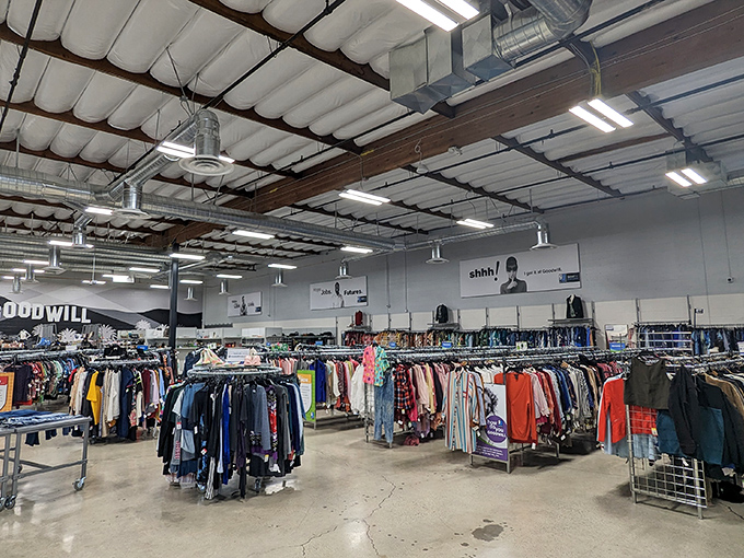 The clothing department stretches like a fabric sea. Dive in and emerge with vintage treasures and contemporary finds alike.