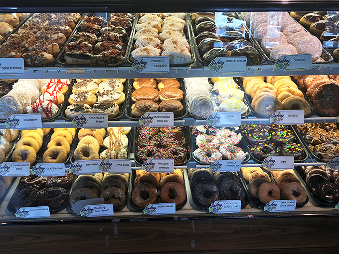 Donut paradise stretches as far as the eye can see, each tray offering a different path to happiness through fried dough perfection.