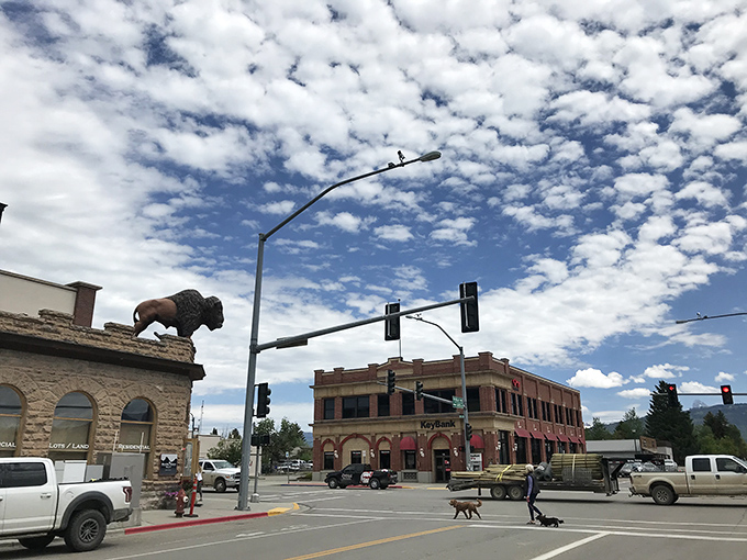 Downtown Driggs comes with its own guardian buffalo, keeping watch from above. Even the traffic lights seem more relaxed under those big Idaho skies.