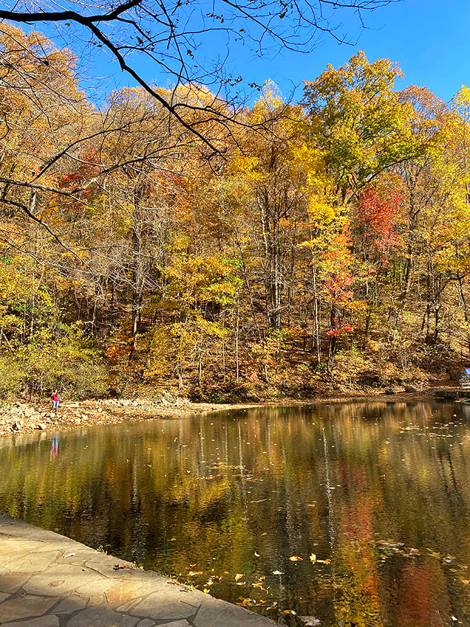 Autumn's reflection doubles the impact of fall foliage. This tranquil pool creates nature's perfect mirror, capturing the season's grand finale in liquid amber.