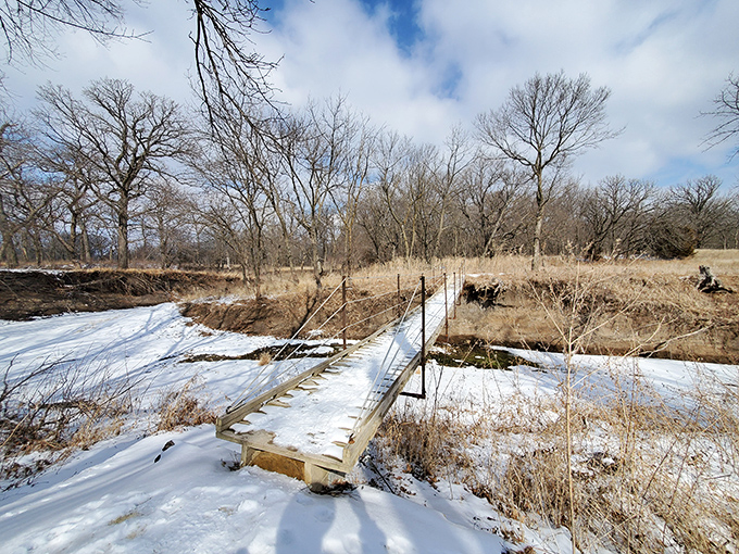 Winter's quiet transformation turns the prairie into a monochromatic masterpiece. Even in dormancy, this ecosystem captivates.