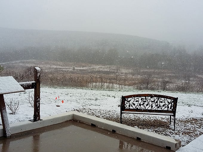 Winter transforms the landscape into a hushed wonderland where even the most dedicated smartphone addicts pause to appreciate silence.