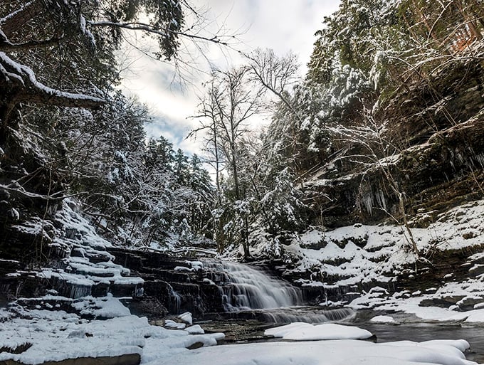 Winter at Salt Springs proves that waterfalls don't hibernate &ndash; they just change outfits, trading liquid shimmer for crystalline splendor.
