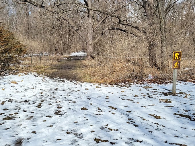 The transition between seasons creates its own magic. Melting snow reveals hints of the trail beneath, promising spring's eventual triumph.