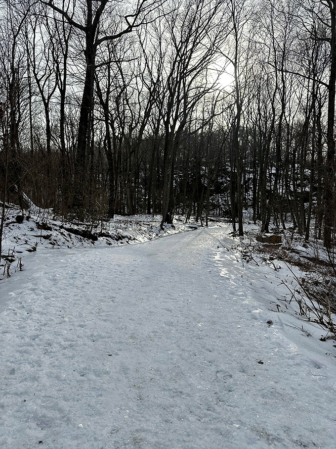 Winter transforms the Giant into a snow globe you can walk through &ndash; Connecticut's seasonal magic trick that never gets old.