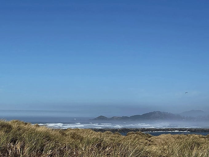 A hiker celebrates the joy of discovery on South Jetty Trail&mdash;arms outstretched as if to embrace the coastal wilderness all around.